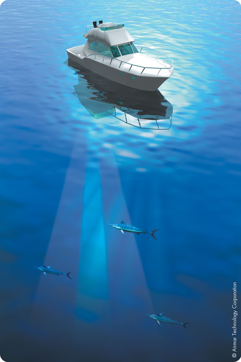 NavNet | Transducers